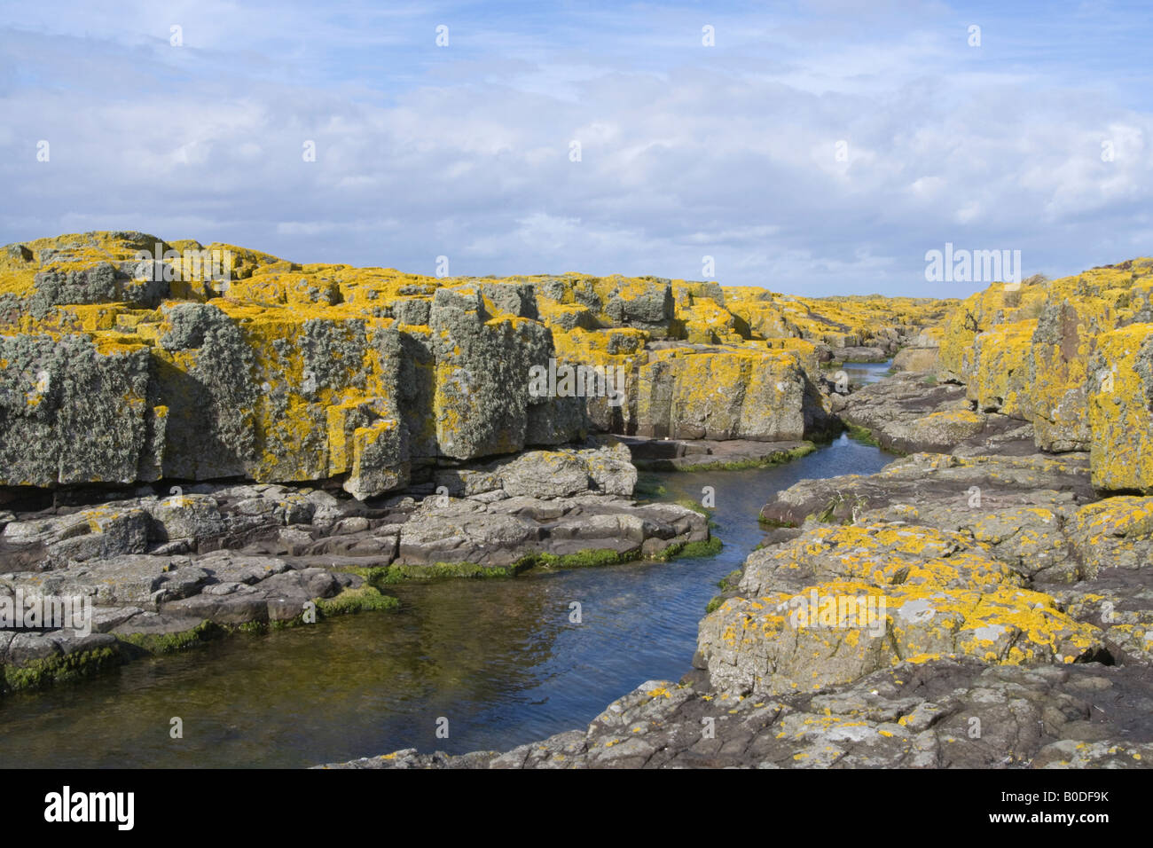 Rockpool on Longstone island surrounded by lichen covered volcanic ...