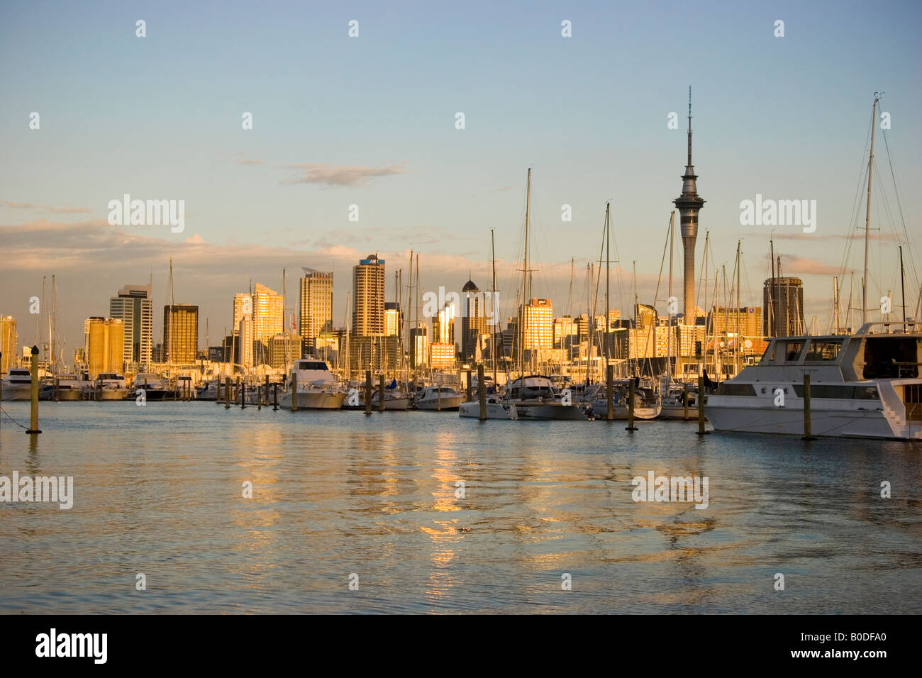 Westhaven Marina Auckland New Zealand Stock Photo - Alamy