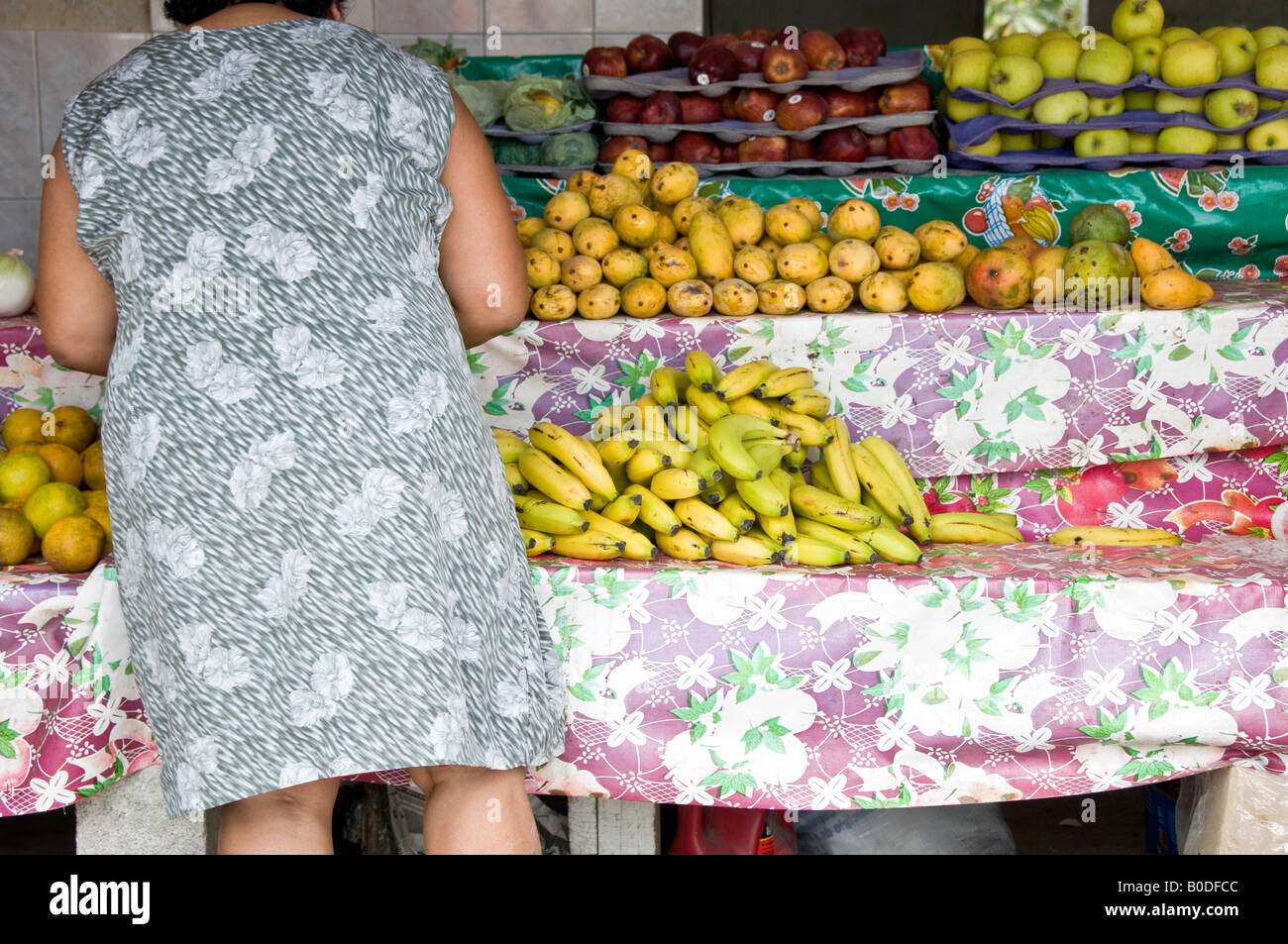 Back view of a woman preparing her display of fruit - bananas, oranges ...