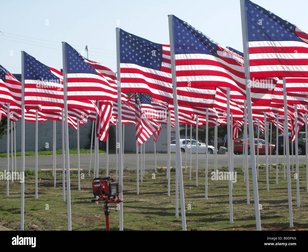 Massed U S Flags Stock Photo - Alamy