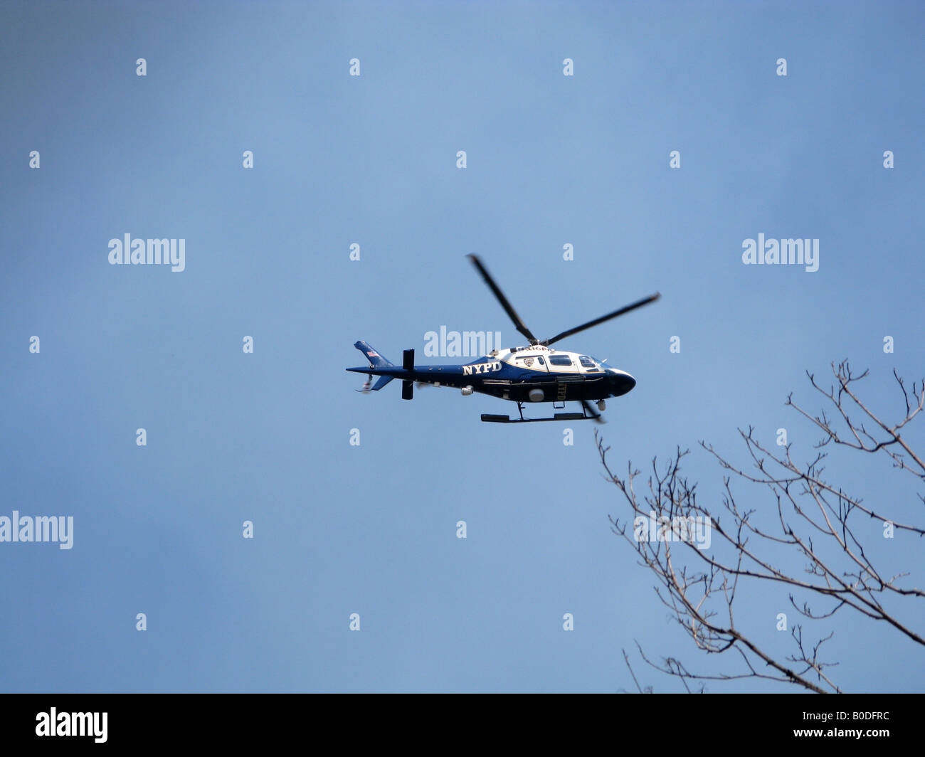 Nypd police helicopter hi-res stock photography and images - Alamy