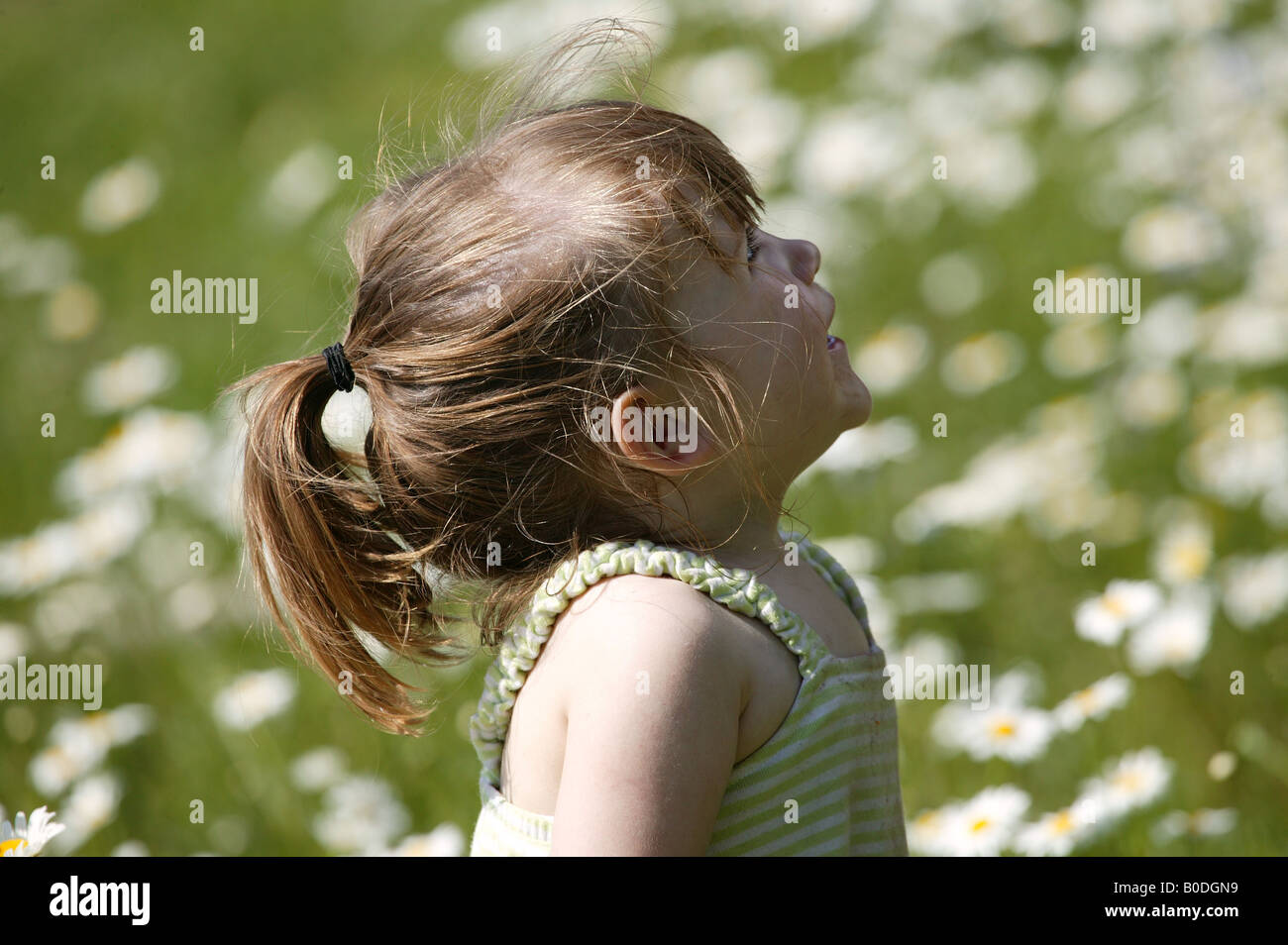 Side profile of a girl looking up Stock Photo - Alamy