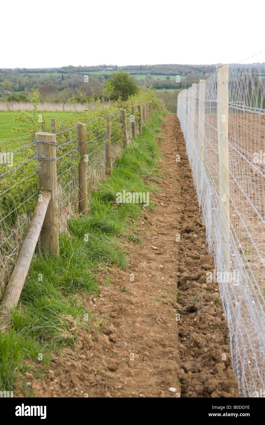 Rabbit proof fence hi-res stock photography and images - Alamy