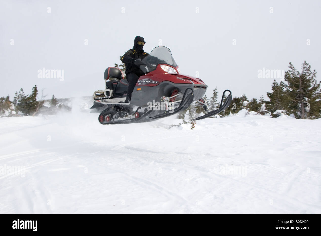 A driver of snowmobile jumping over the snowhill Stock Photo - Alamy