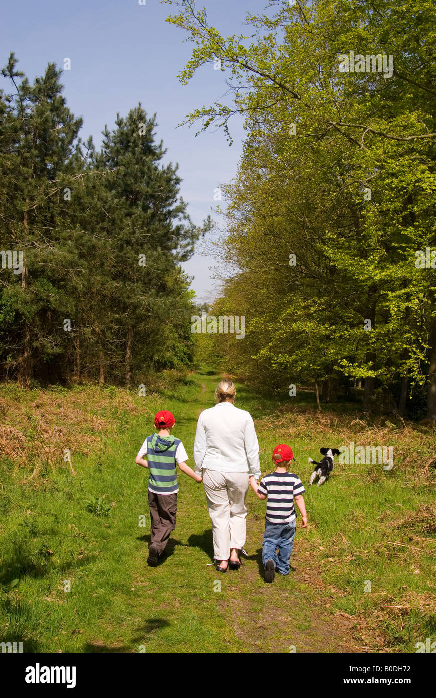 Family Going For A Walk At Dunwich Forest,Suffolk,Uk Stock Photo - Alamy