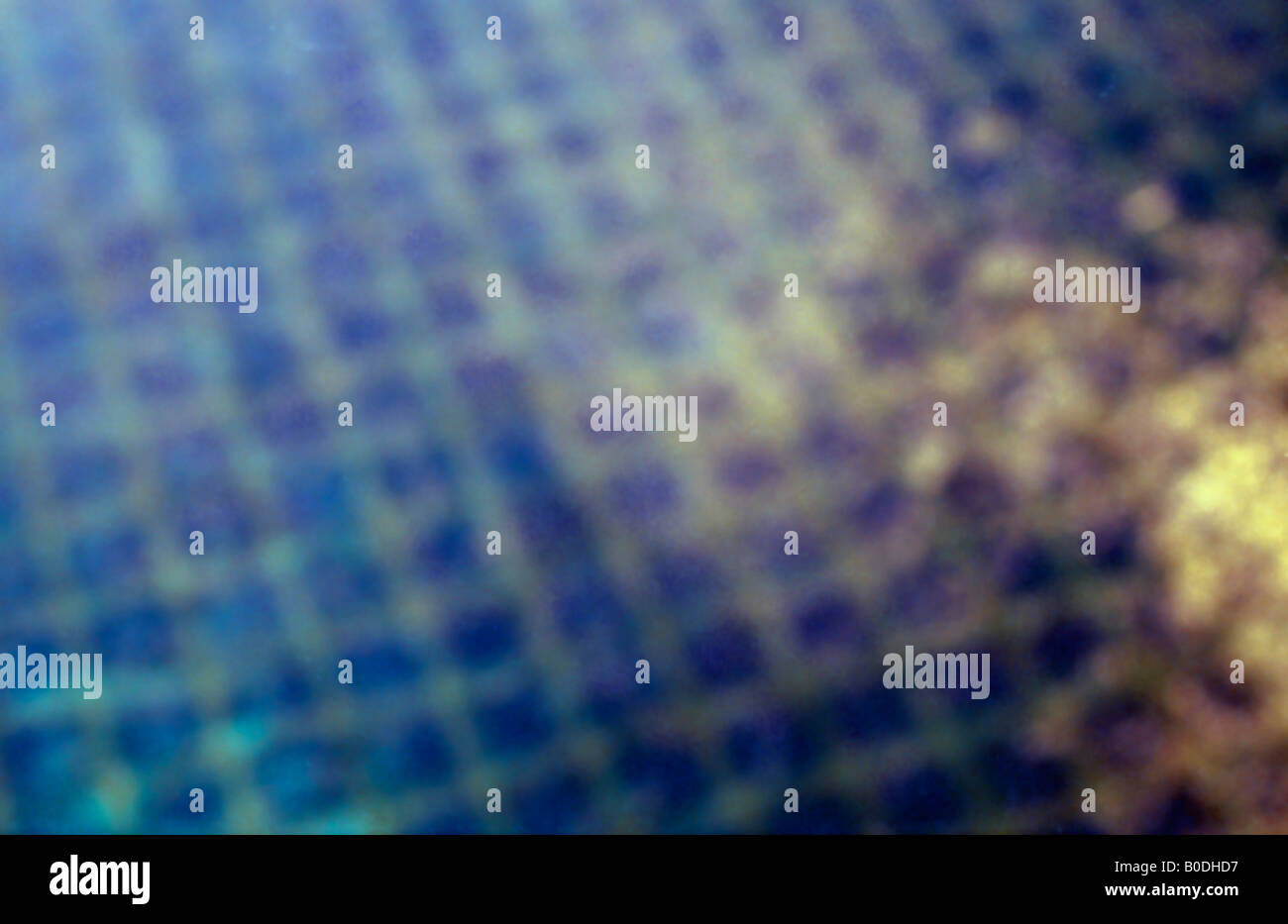 pool, blur, reflection, soft focus, blue, water Stock Photo - Alamy