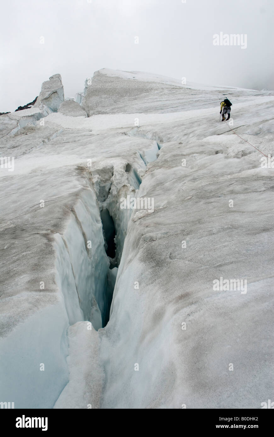 Mountian climber walking around cravasses on the Pika Glacier, Little ...