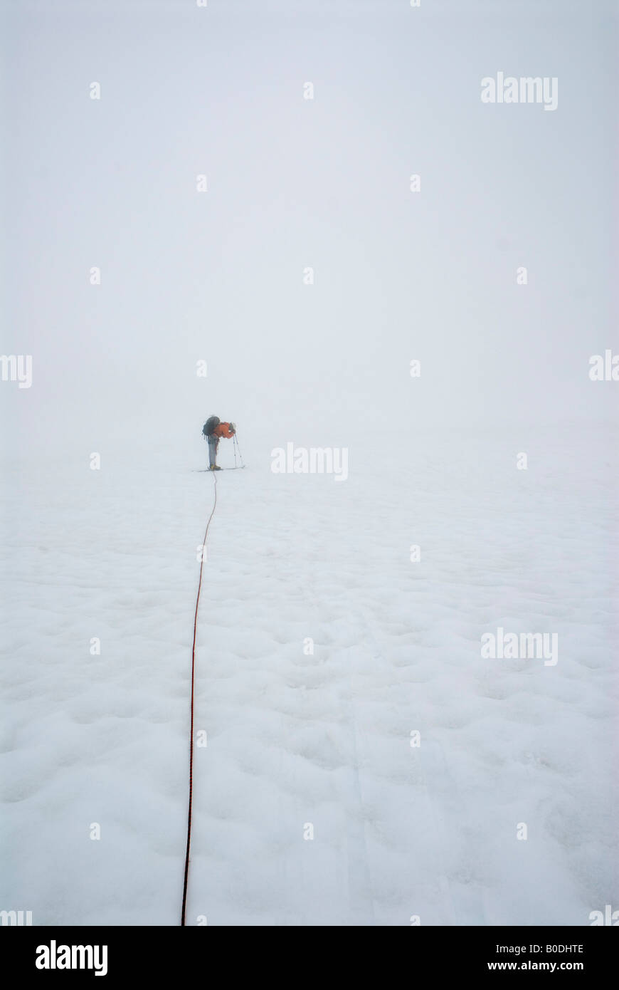 Pika snow hi-res stock photography and images - Alamy