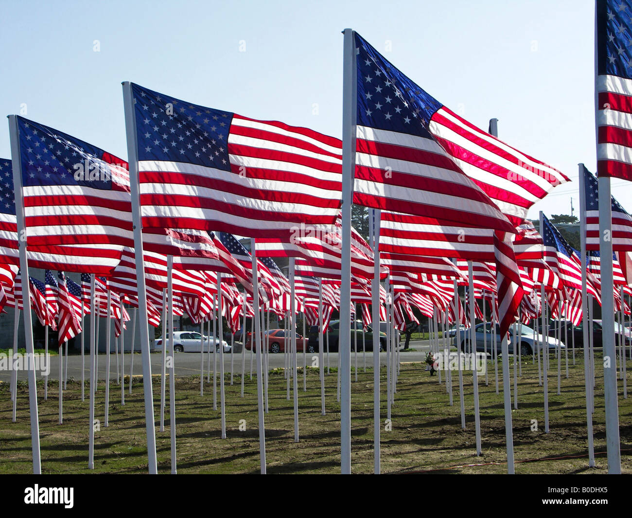Massed U S flags Stock Photo - Alamy