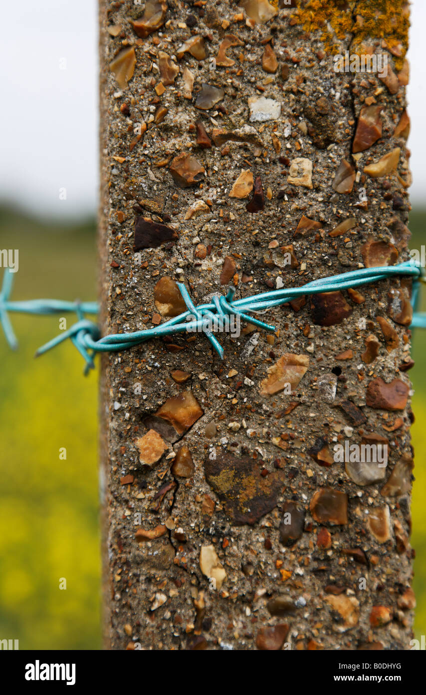 Concrete fence post barbed wire hi-res stock photography and images - Alamy