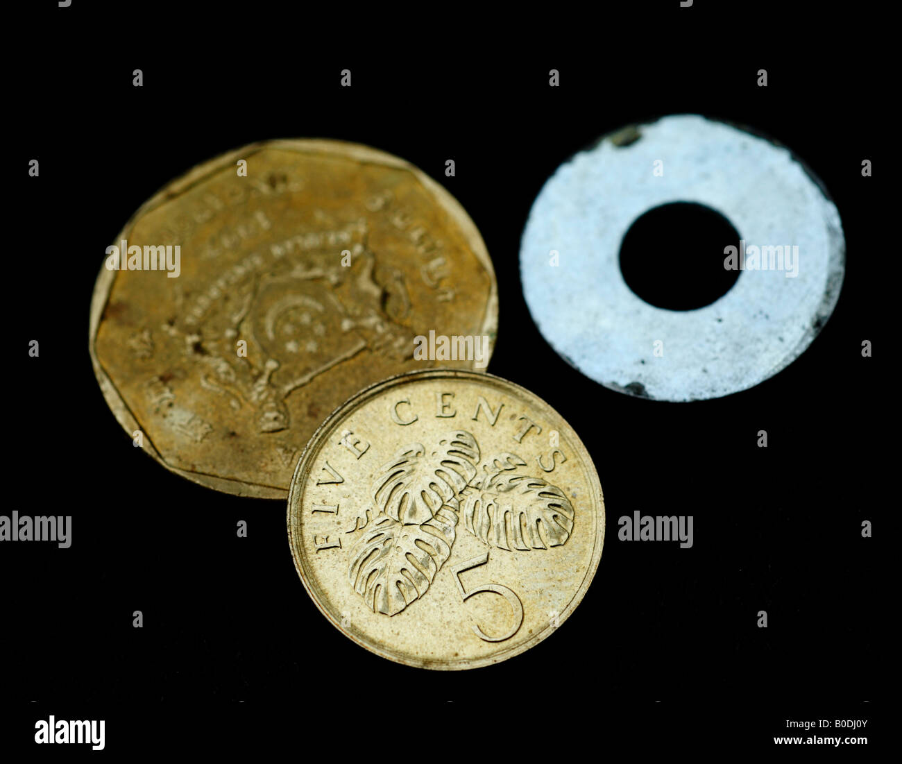nuts and coins Stock Photo - Alamy