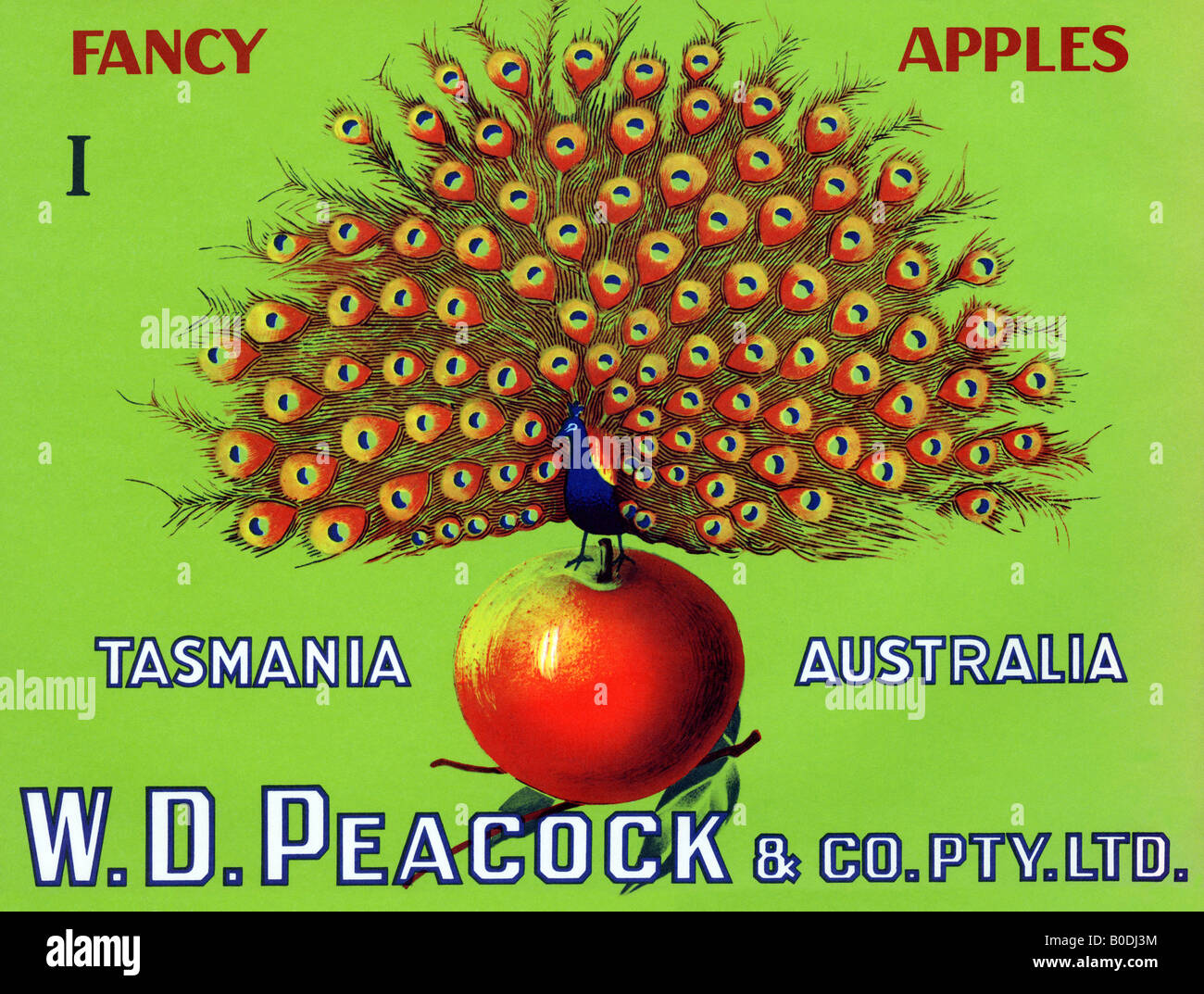 Fancy peacock hi-res stock photography and images - Alamy