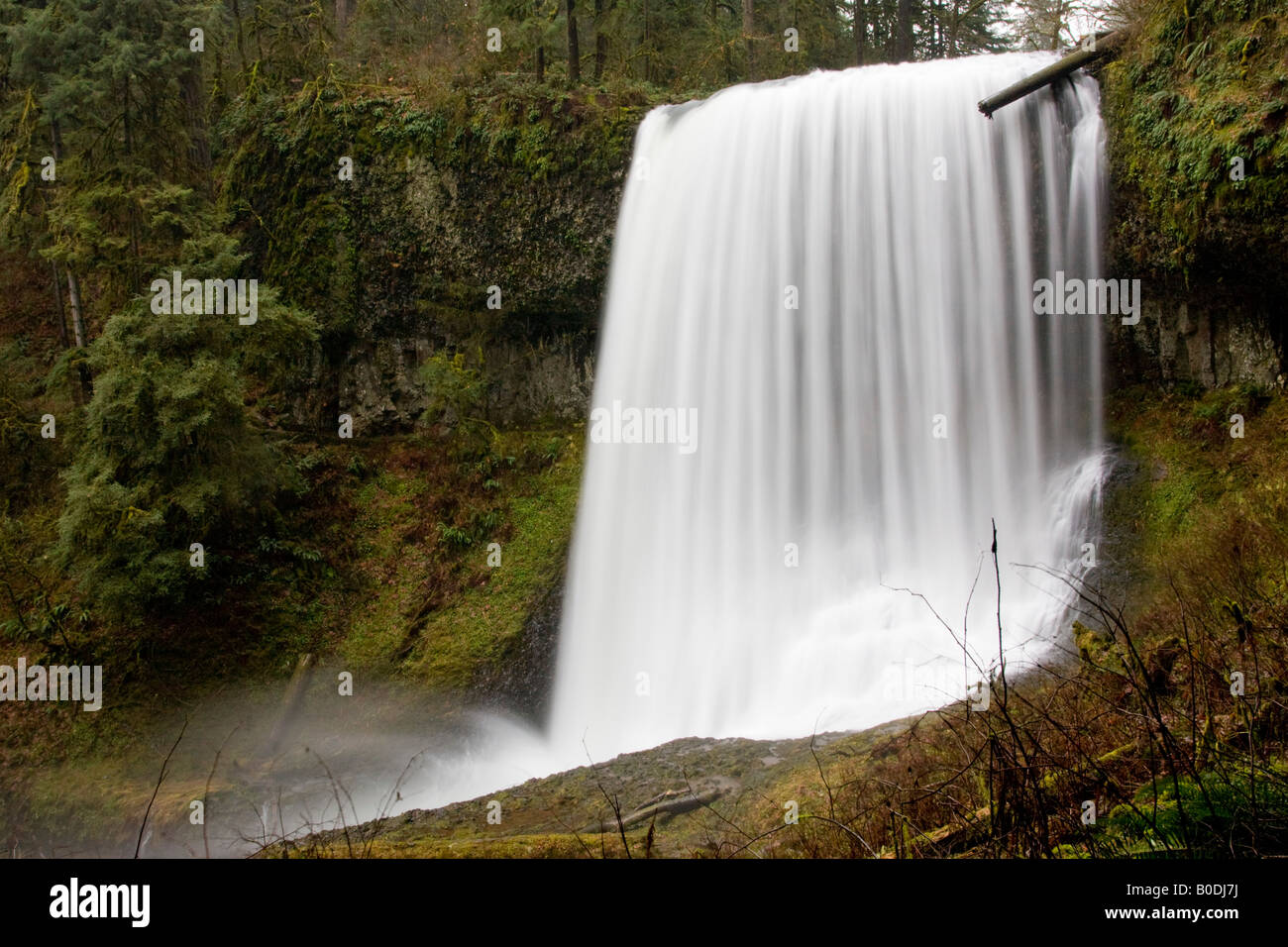 Middle North Falls Silver Falls State Park Oregon USA Stock Photo - Alamy