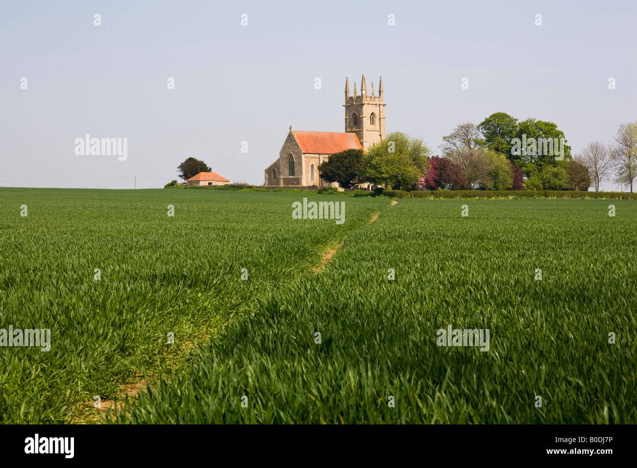 path through crops to St Andrews church, Sempringham, Lincolnshire ...