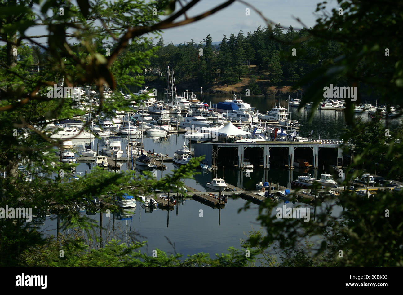 Marina at Roche Harbor, San Juan Island Washington Stock Photo - Alamy