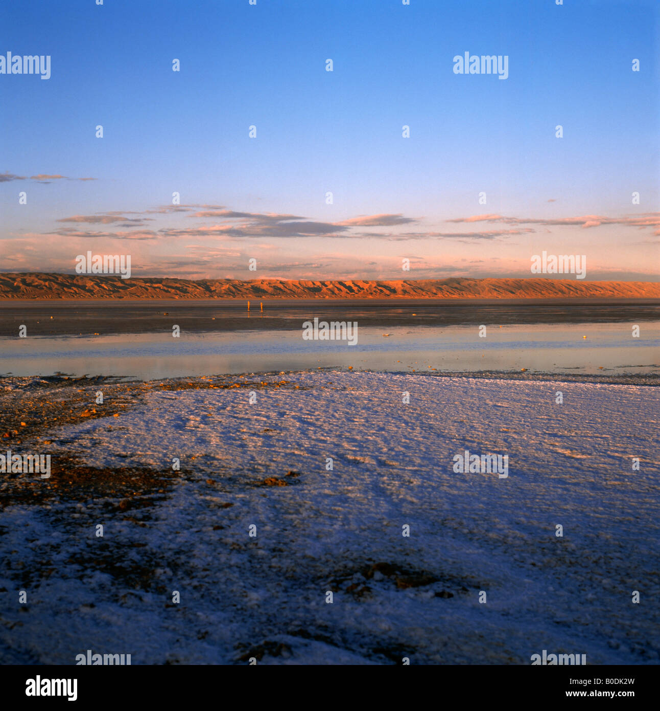 Encrustations hi-res stock photography and images - Alamy