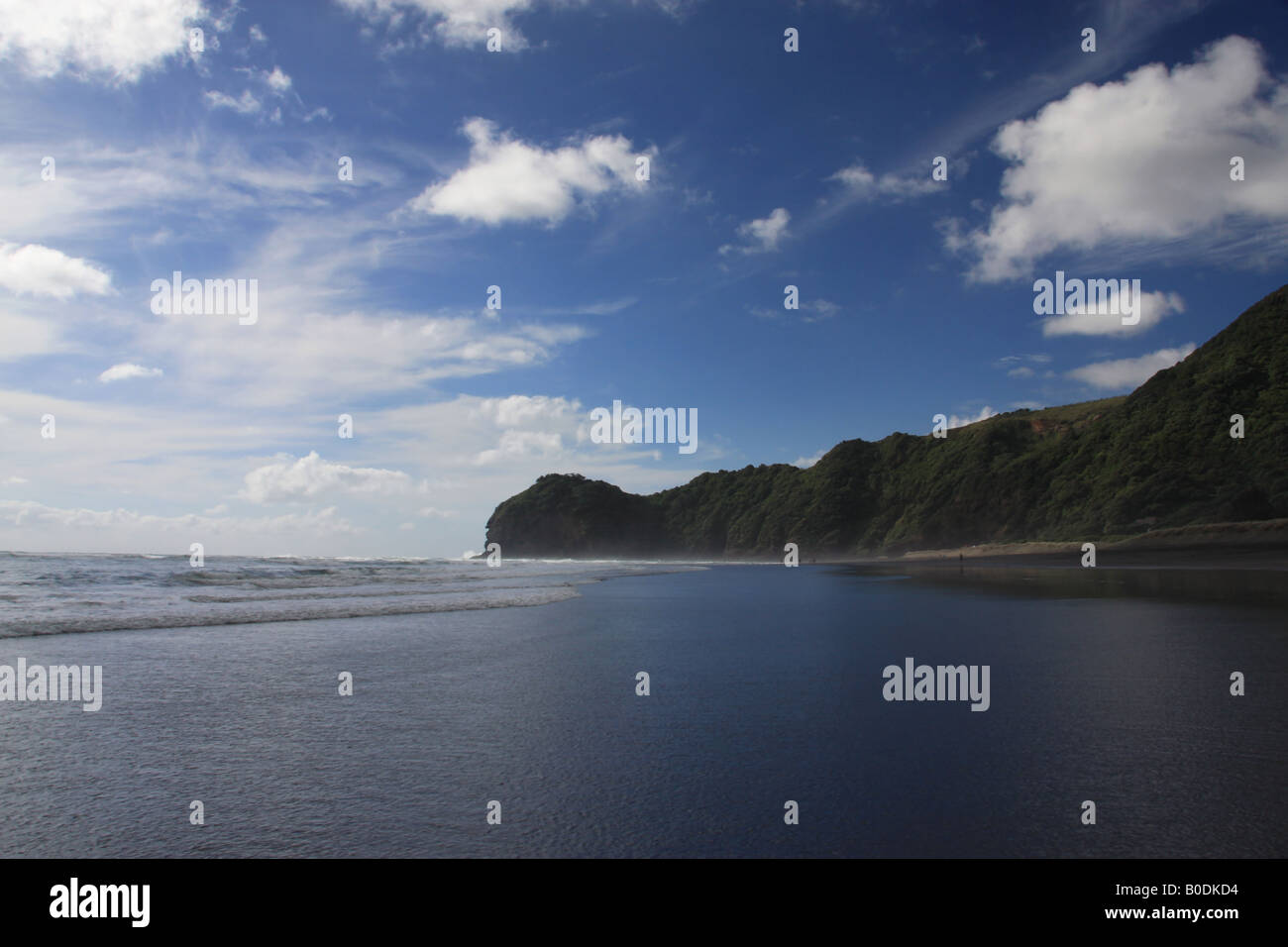 Piha beach, Auckland, New Zealand Stock Photo - Alamy