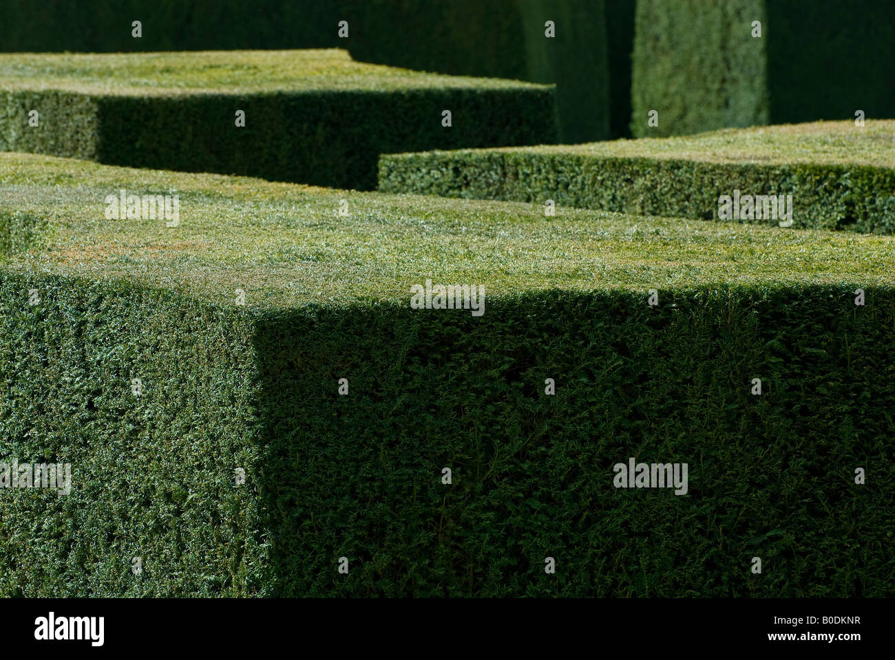 Clipped hedge formal hi-res stock photography and images - Alamy