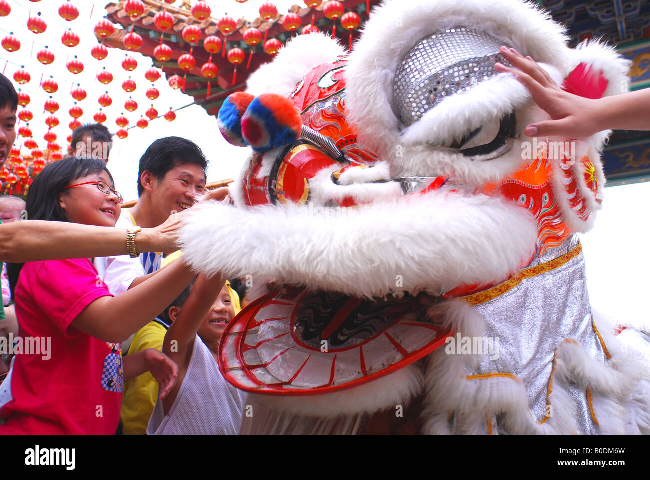 Lion dance,Chinese New Year celebration Stock Photo - Alamy
