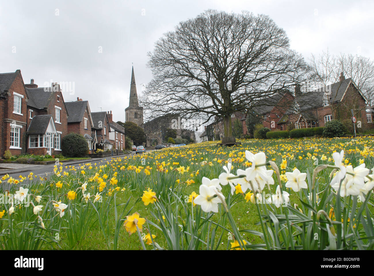 Cheshire village green of Astbury with the parish church of St Mary's ...