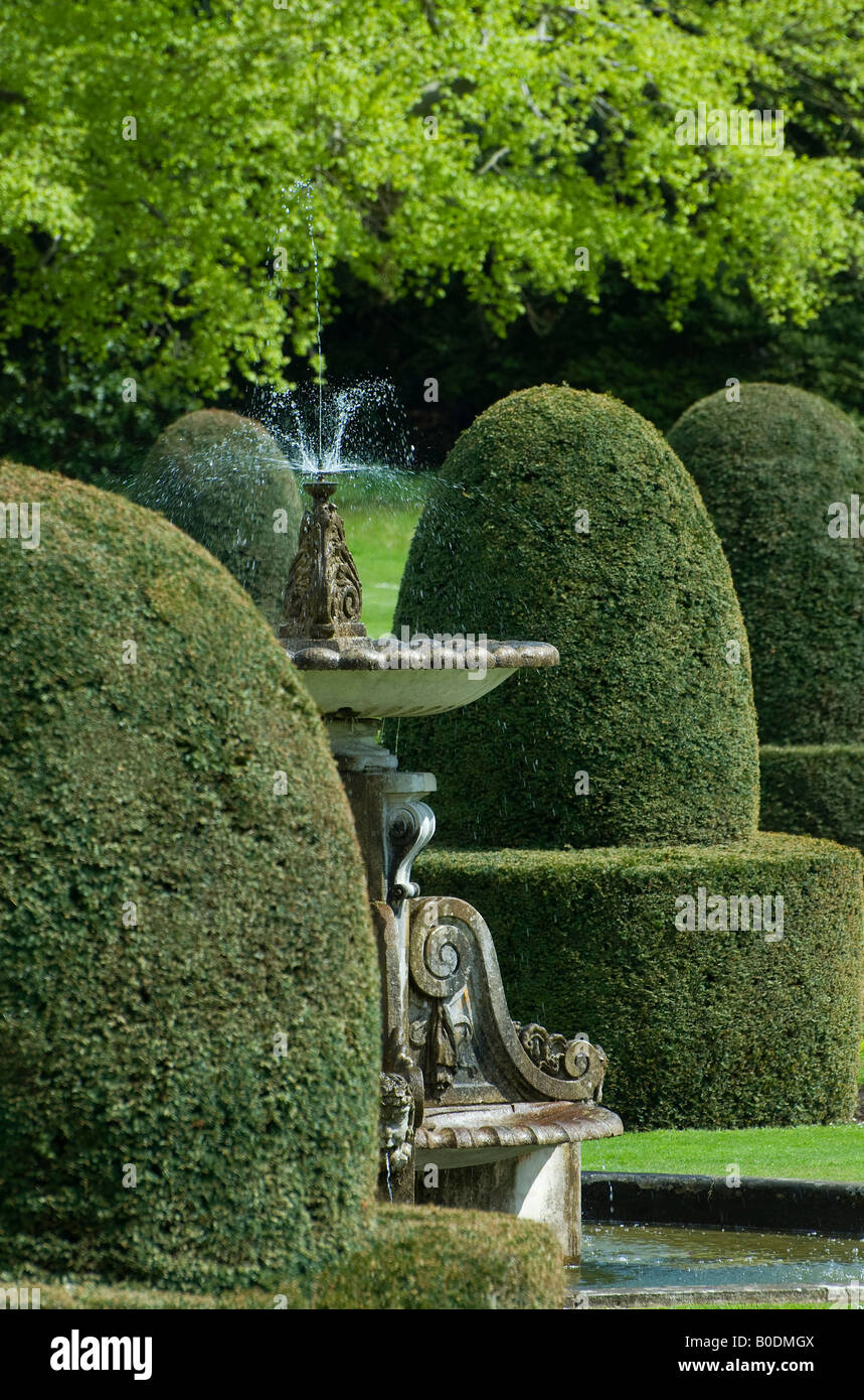 classical style garden fountain and clipped hedging Stock Photo - Alamy