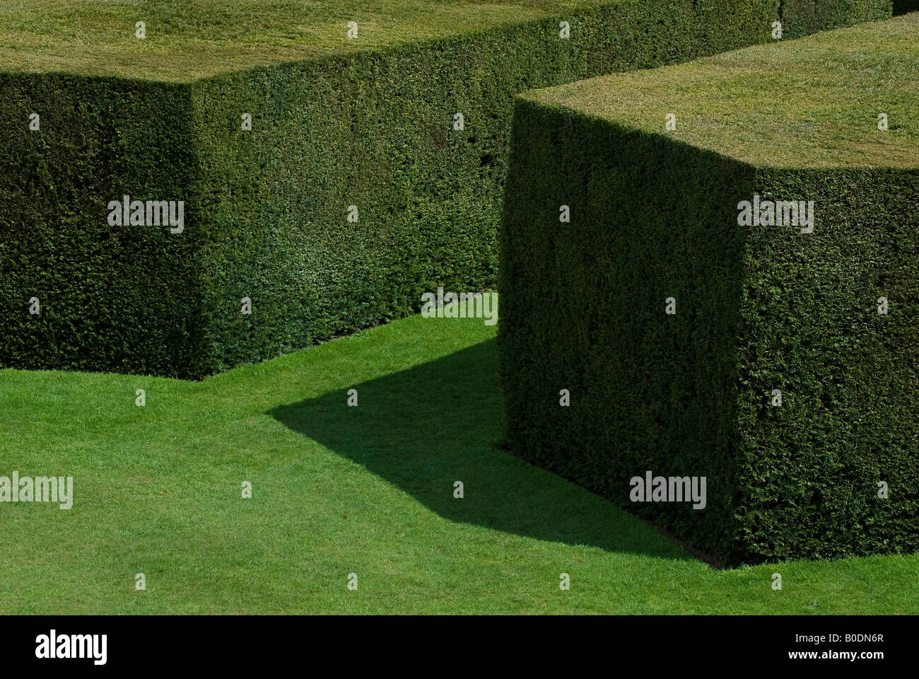 Clipped hedge formal hi-res stock photography and images - Alamy
