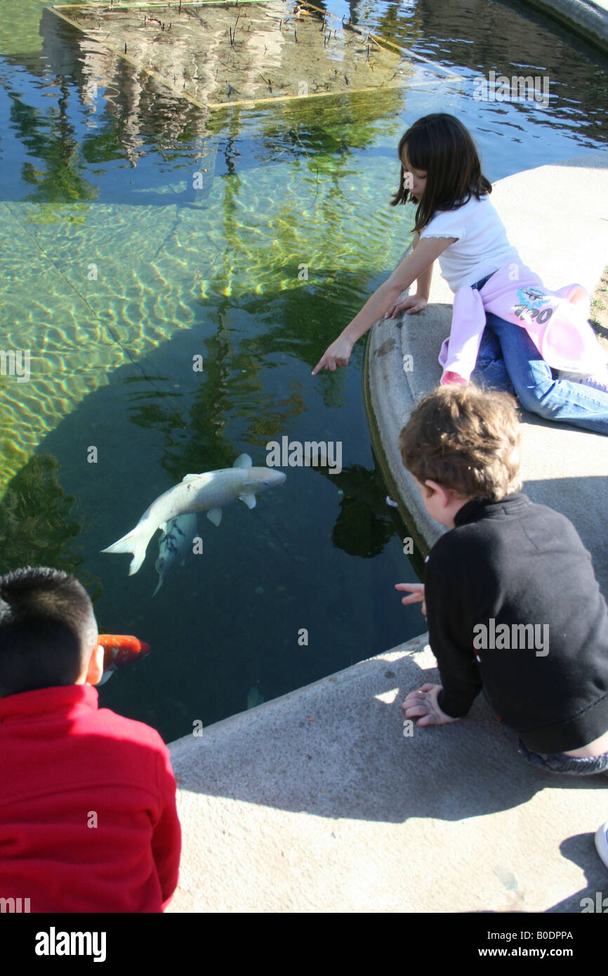 Cute fish photograph hi-res stock photography and images - Alamy