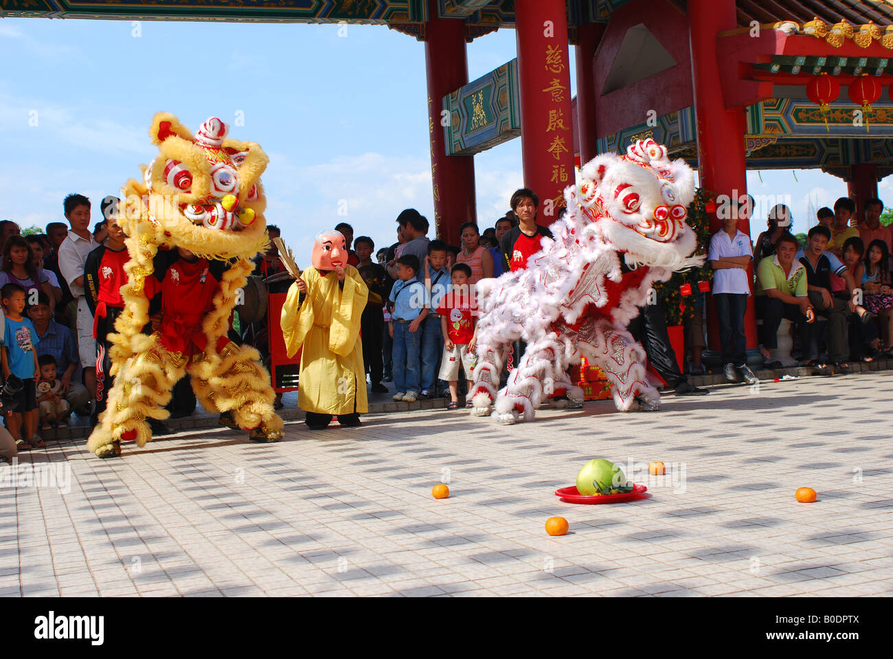 Lion dance performance during Chinese New Year festival Stock Photo - Alamy
