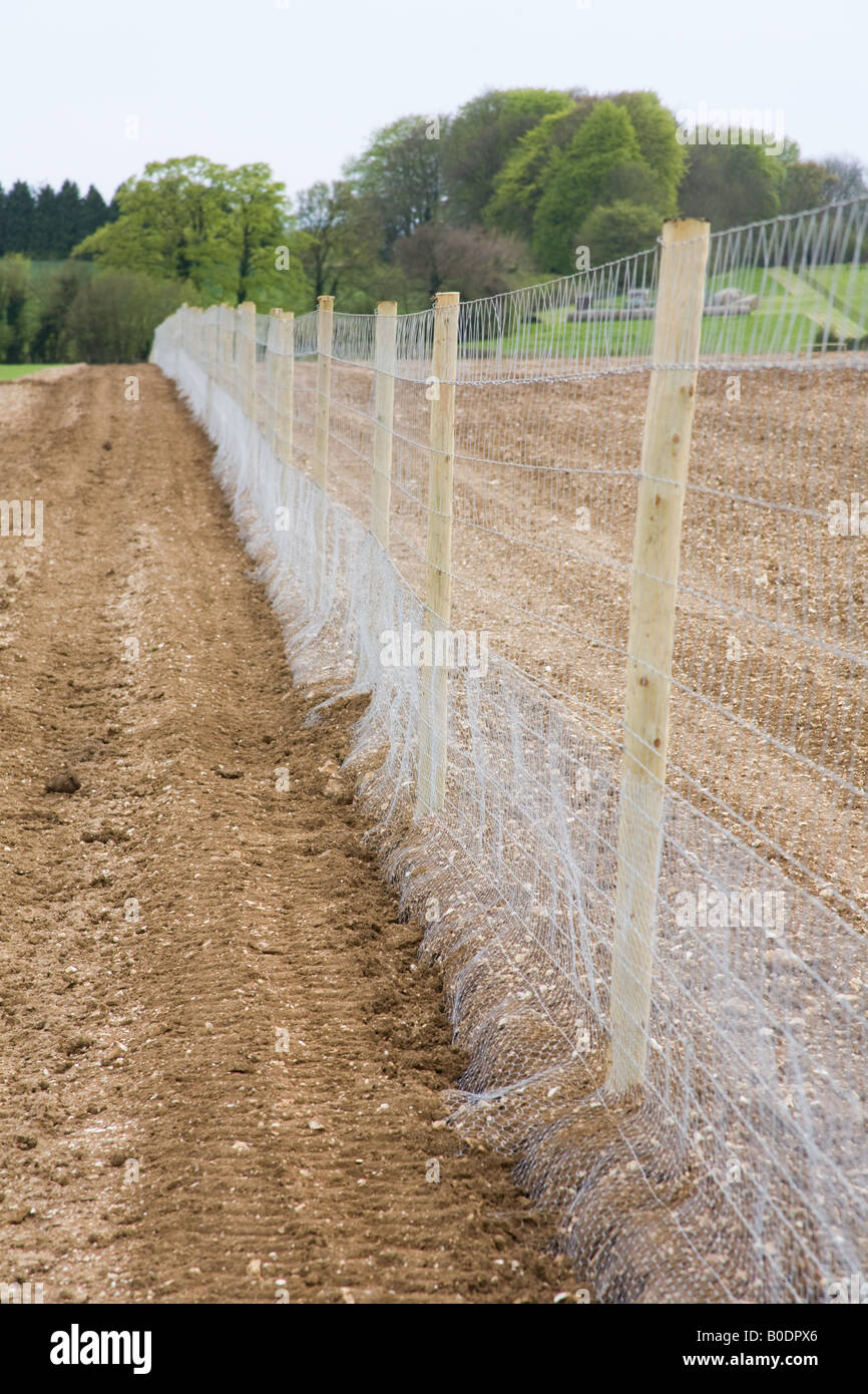 Rabbit proof fence hi-res stock photography and images - Alamy