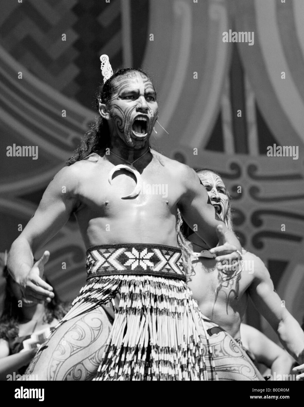Maori haka performed whangara mai hi-res stock photography and images ...