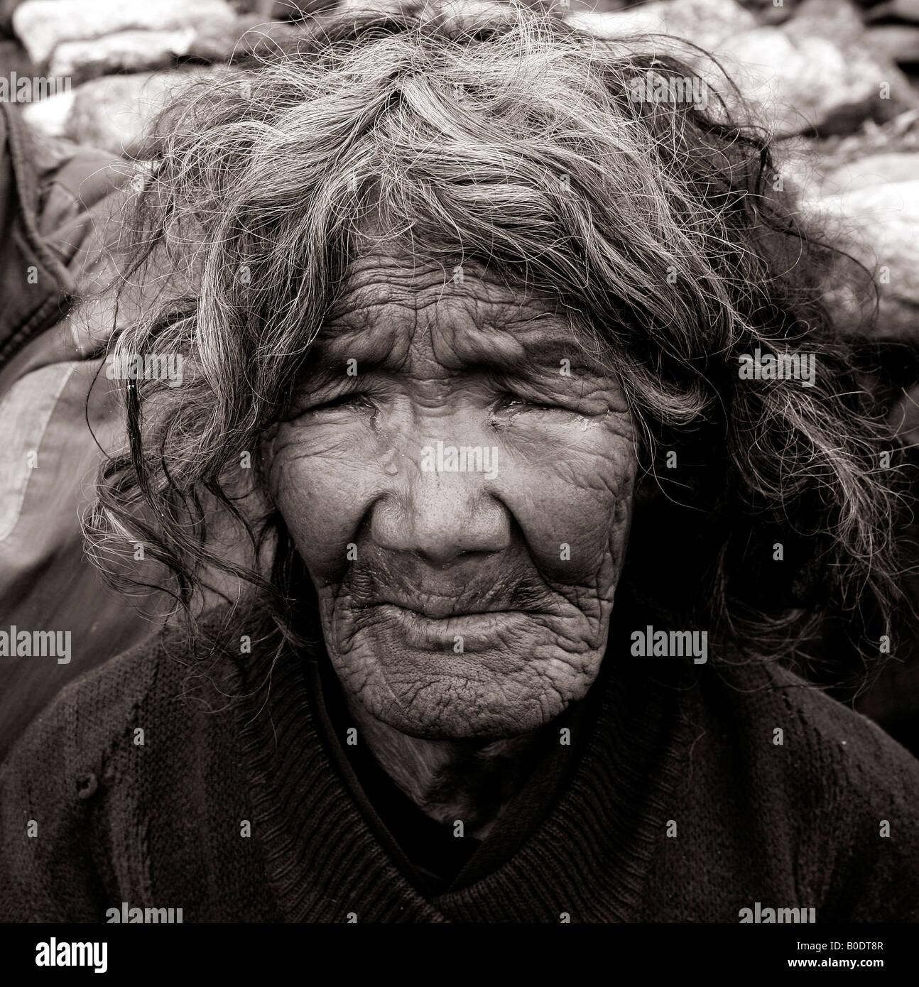 Old matriarch hi-res stock photography and images - Alamy