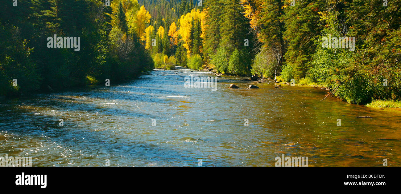 Rio Grande River, Rio Grande National Forest, Colorado Stock Photo - Alamy