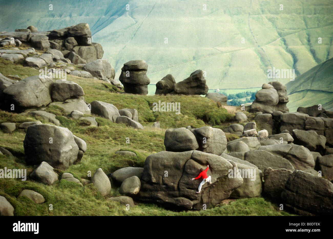 Climbing in the Wool Packs Stock Photo - Alamy