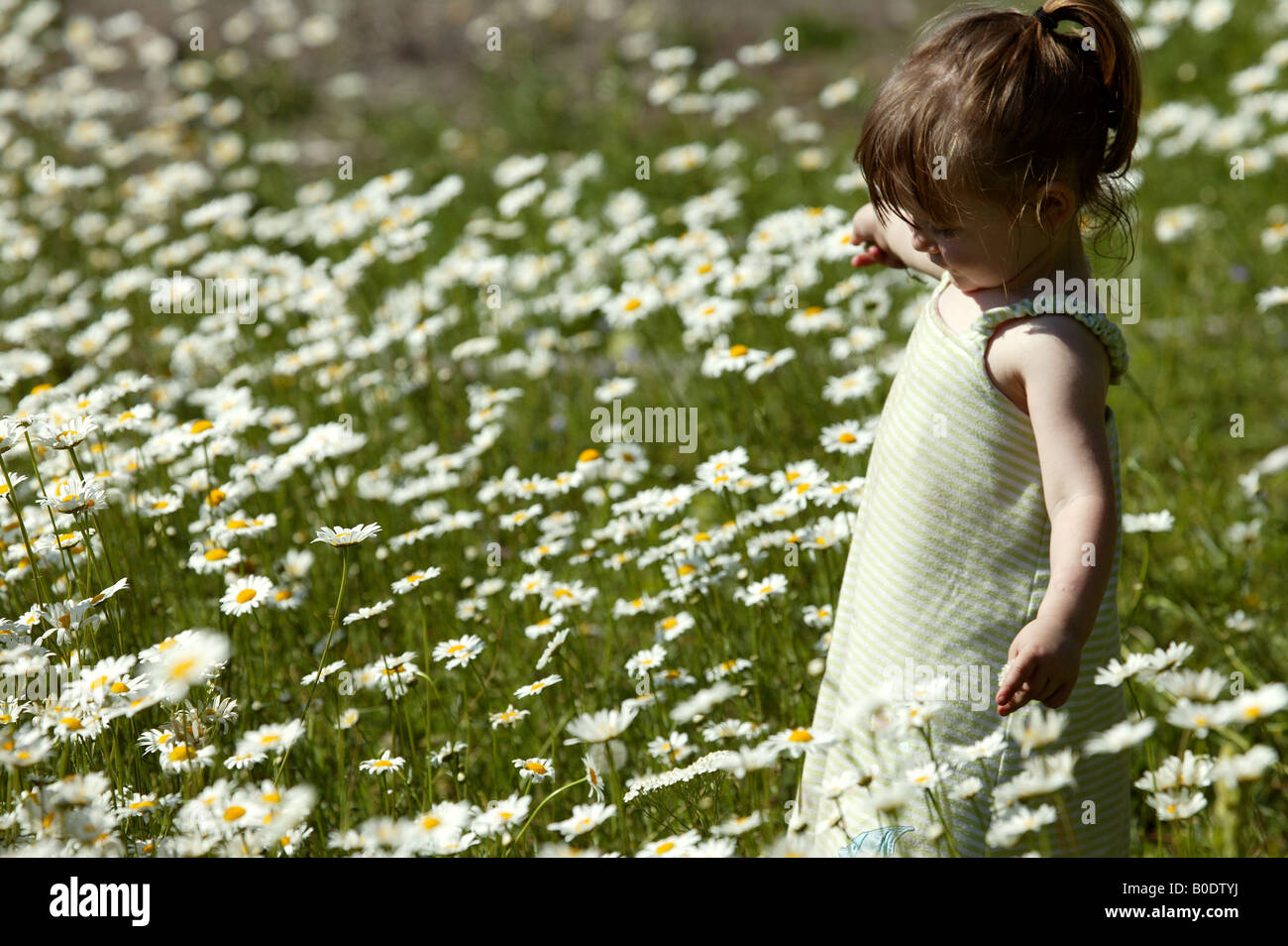 Side profile of a girl standing in a flower field Stock Photo - Alamy