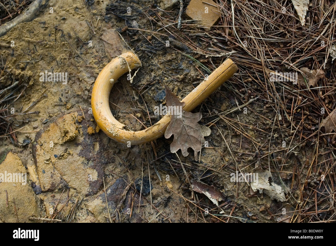 Stick BASQUE COUNTRY Spain Stock Photo - Alamy