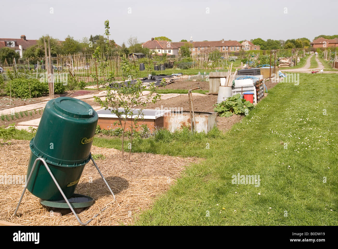 Allotment in Kent Stock Photo - Alamy