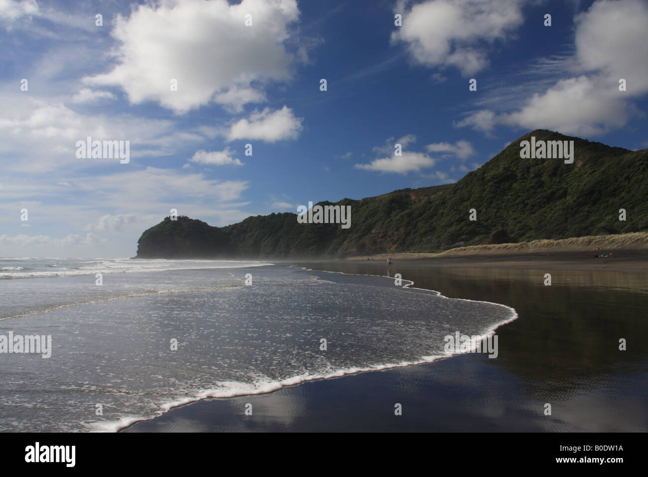 Piha beach, Auckland, New Zealand Stock Photo - Alamy