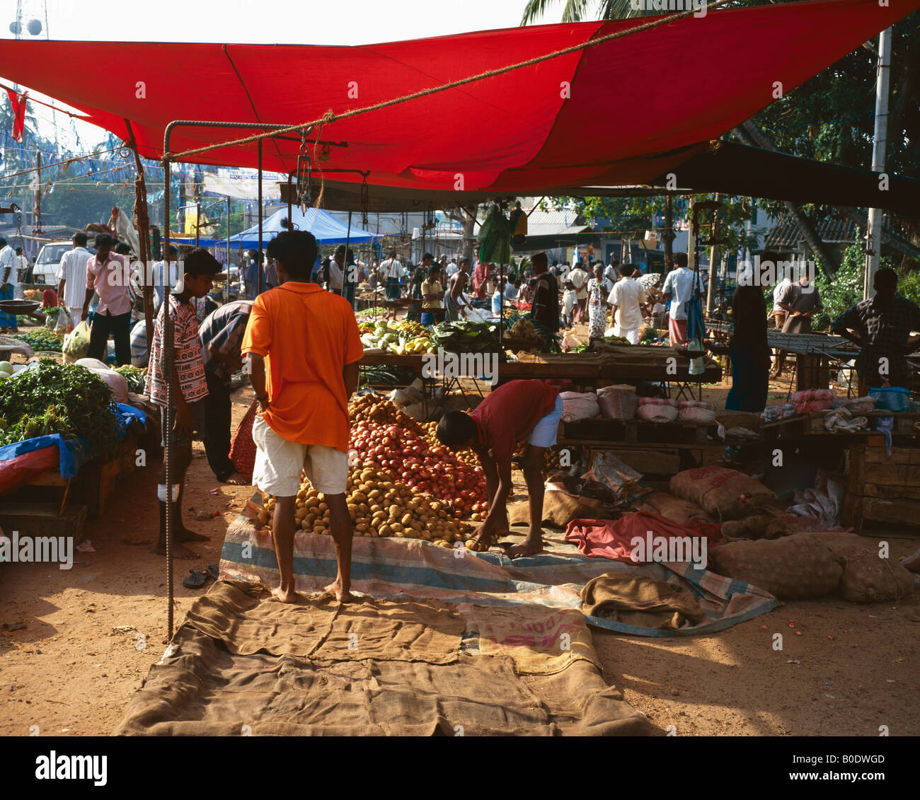Market at Negombo, Sri Lanka Stock Photo - Alamy