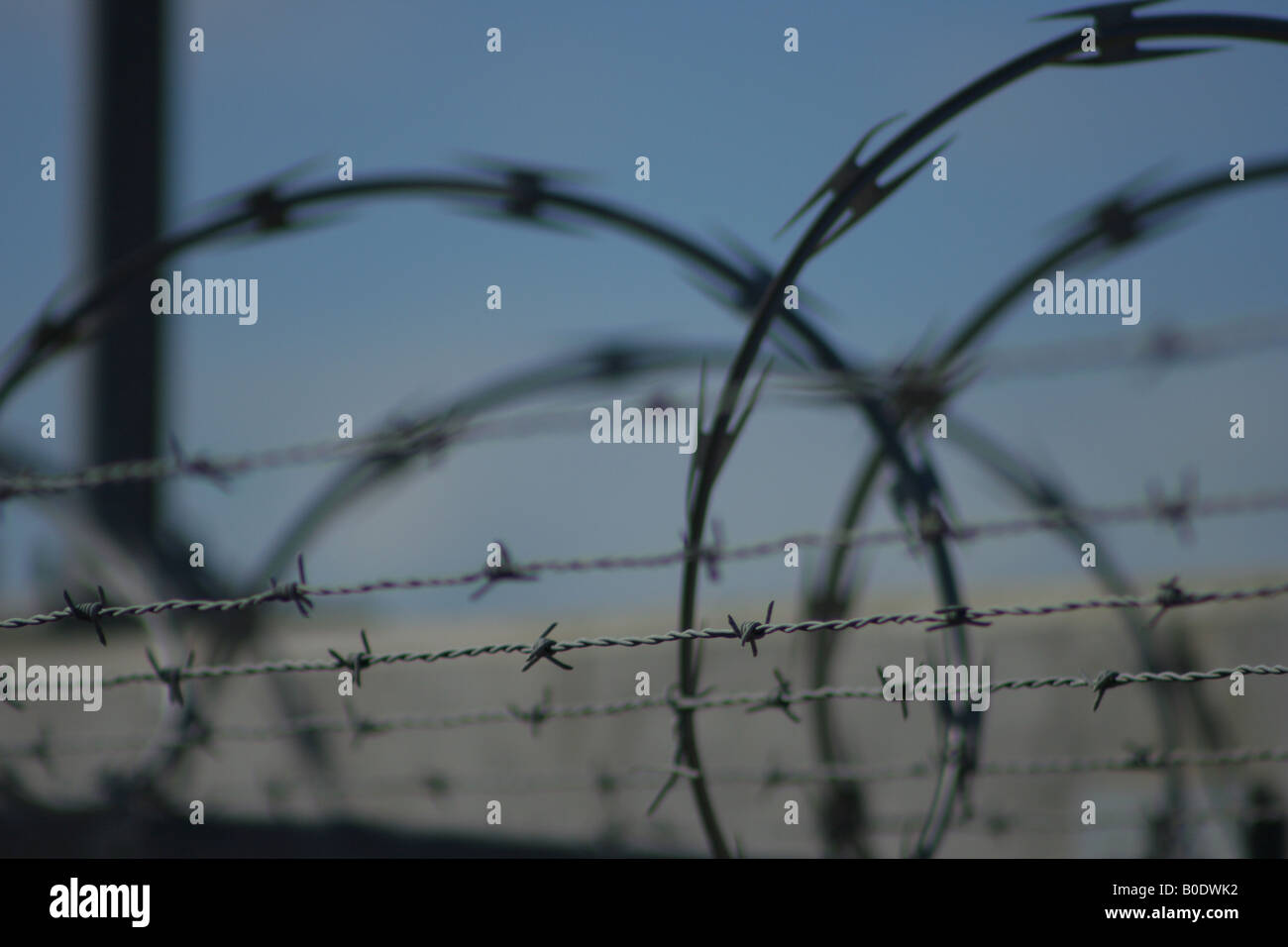 Razor wire security barrier Stock Photo - Alamy