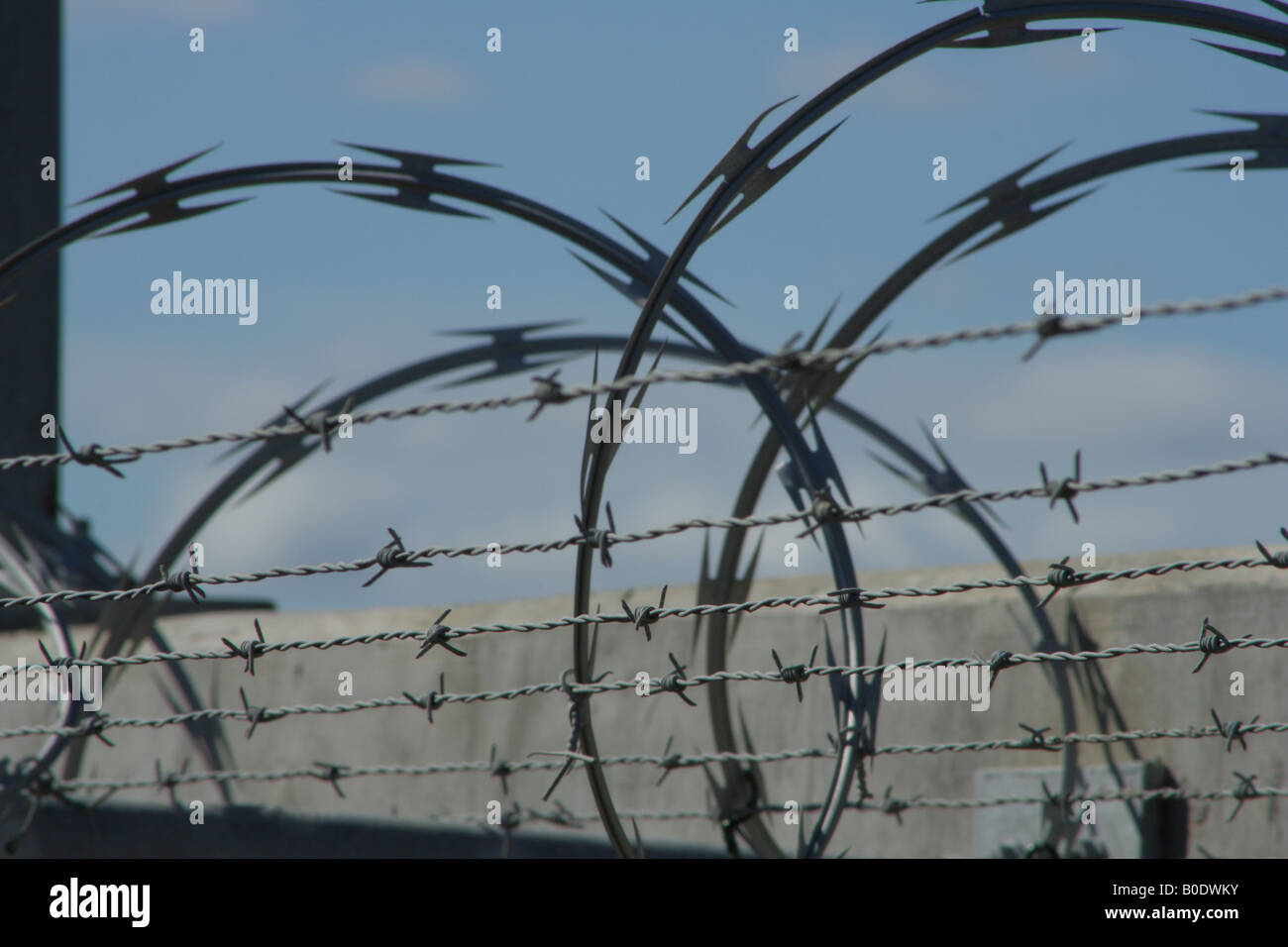 Razor wire security barrier Stock Photo - Alamy