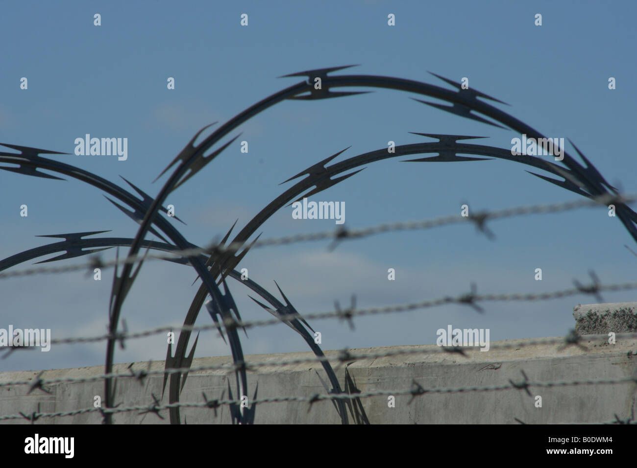Razor wire security barrier Stock Photo - Alamy