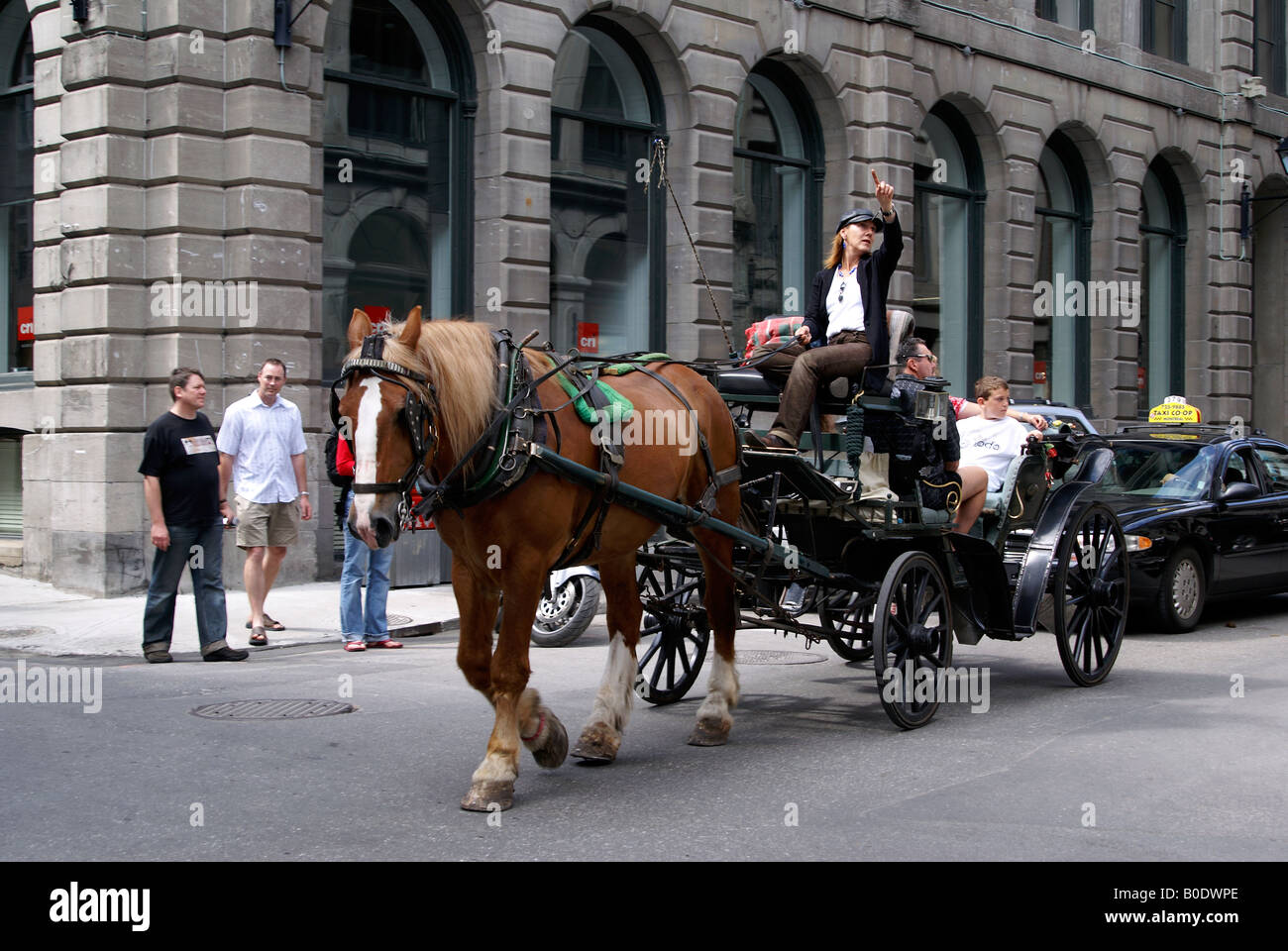 horse-drawn carriage Montreal Quebec Canada Stock Photo - Alamy
