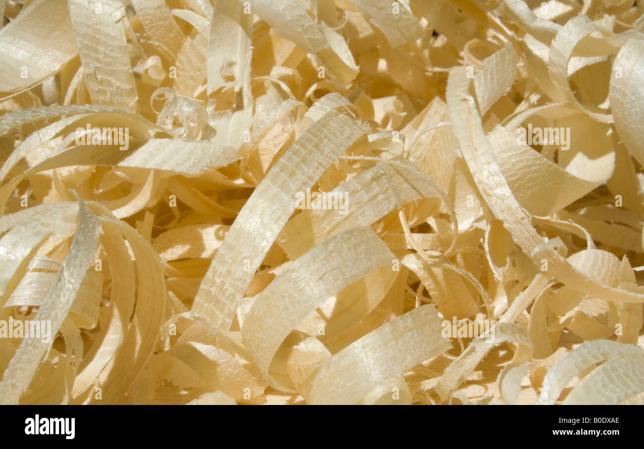 background of pine wood chippings Stock Photo - Alamy