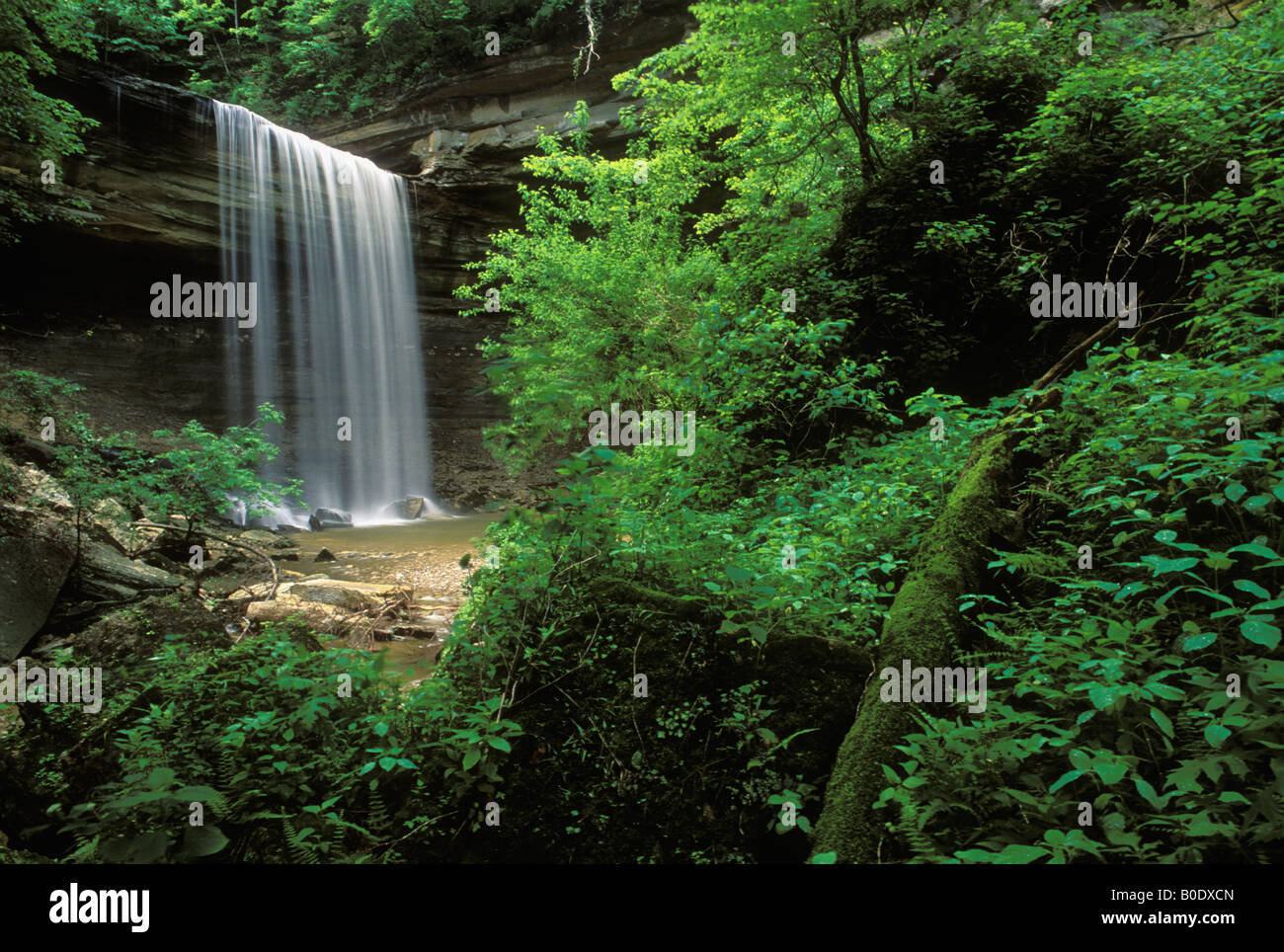 Clifty falls state park hi-res stock photography and images - Alamy