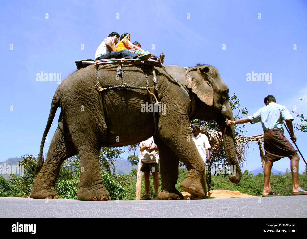 Kerala Elephant Ride Stock Photos & Kerala Elephant Ride Stock Images ...