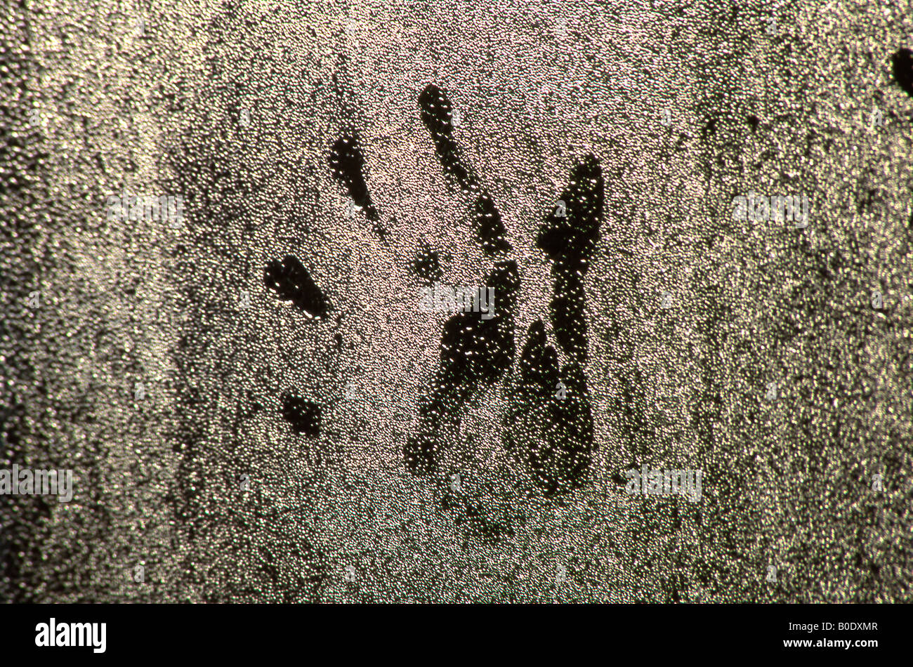 Child's hand print on a window covered in condensation Stock Photo - Alamy