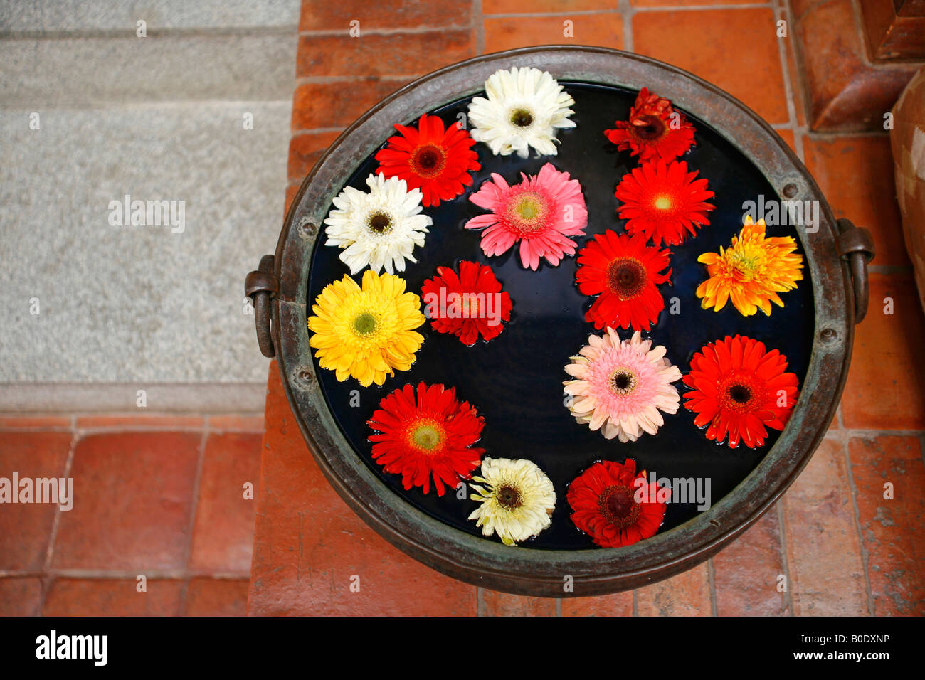 colourful flowers floating in water Stock Photo - Alamy