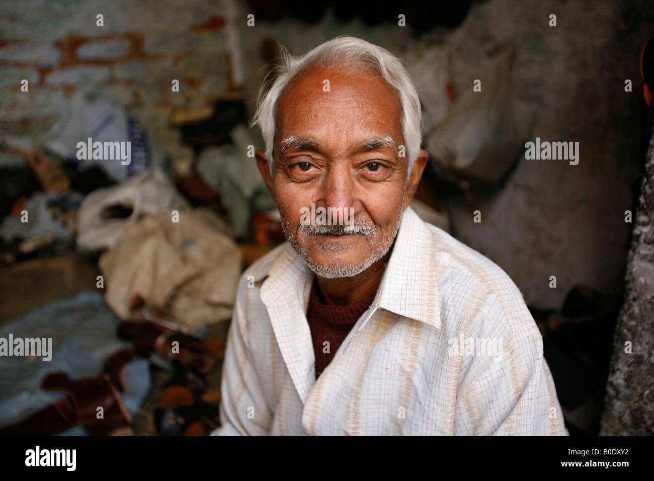 portrait of old indian shoemaker in delhi india Stock Photo - Alamy