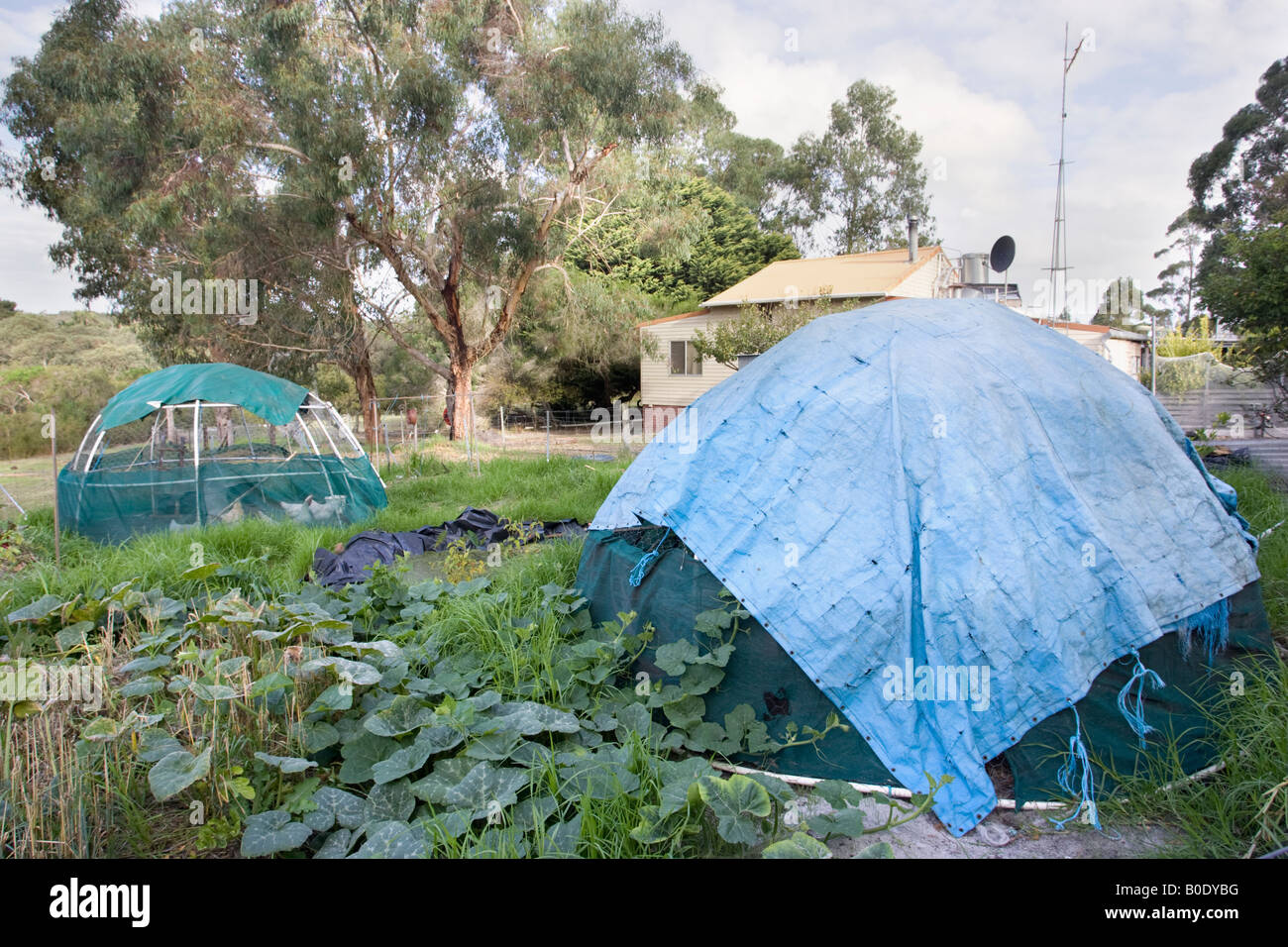 Two chicken coops, a vegetable patch and pond in an organic, self ...