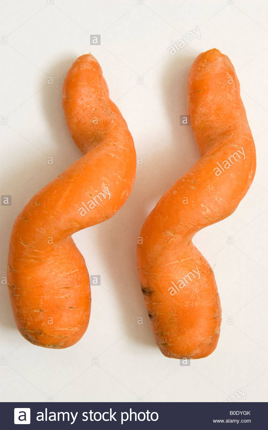 Funny Shaped Carrots High Resolution Stock Photography and Images - Alamy